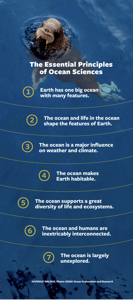 How Expedition 390 advances Ocean Literacy – Journeys of Dr. G
